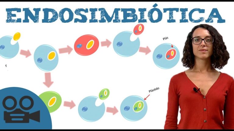 ¿Qué es la teoría endosimbiótica? – Educación y Publicaciones Editorial