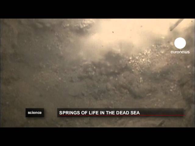 Descubren vida en el Mar Muerto
