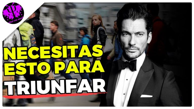 ¿Qué es el estatus social y cómo influye en nuestras vidas?