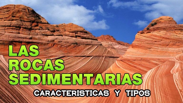 Características de las rocas sedimentarias: todo lo que necesitas saber