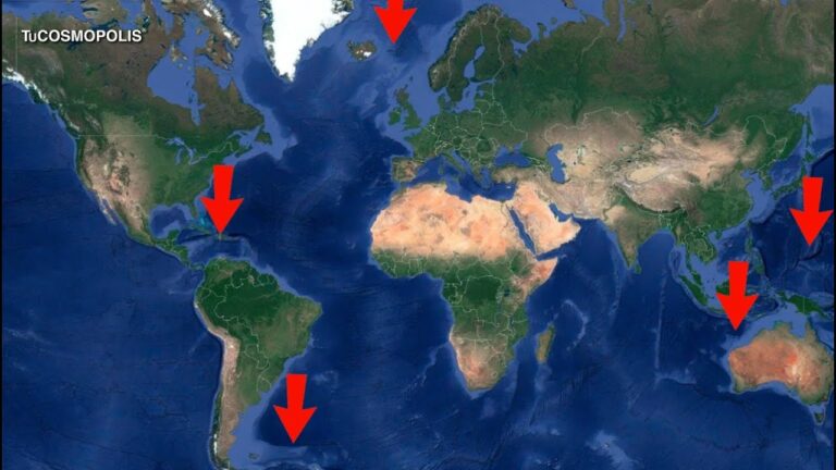 Descubre los 5 océanos cerca de ti