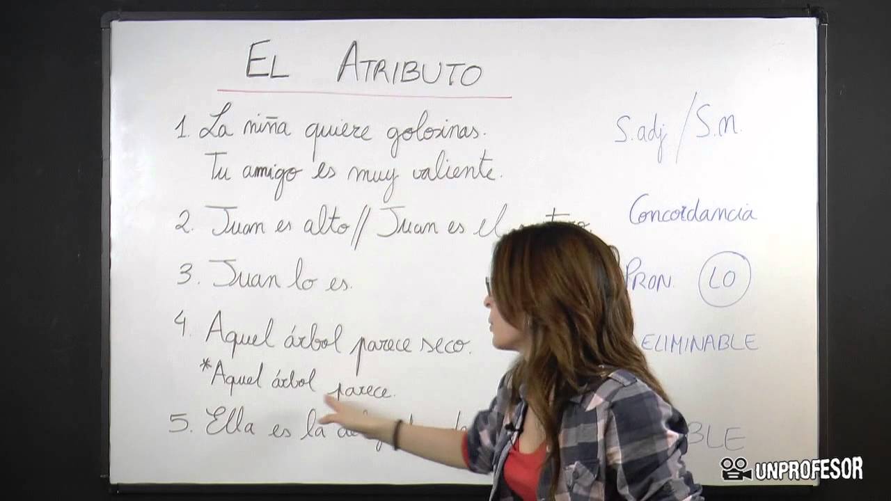 ¿Qué es el atributo de una oración? – Educación y Publicaciones Editorial