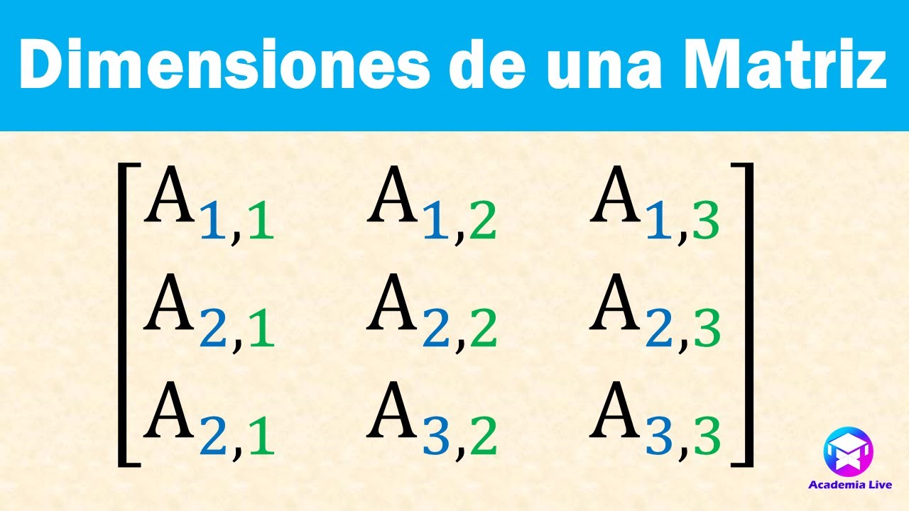 ¿Qué es la dimensión de una matriz? – Educación y Publicaciones Editorial