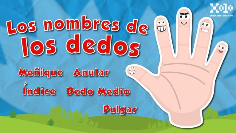 Los nombres de los dedos de la mano