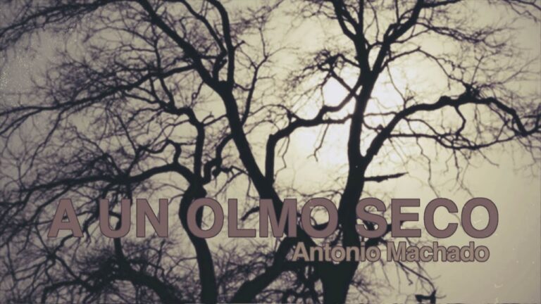 Resumen del poema "A un olmo seco